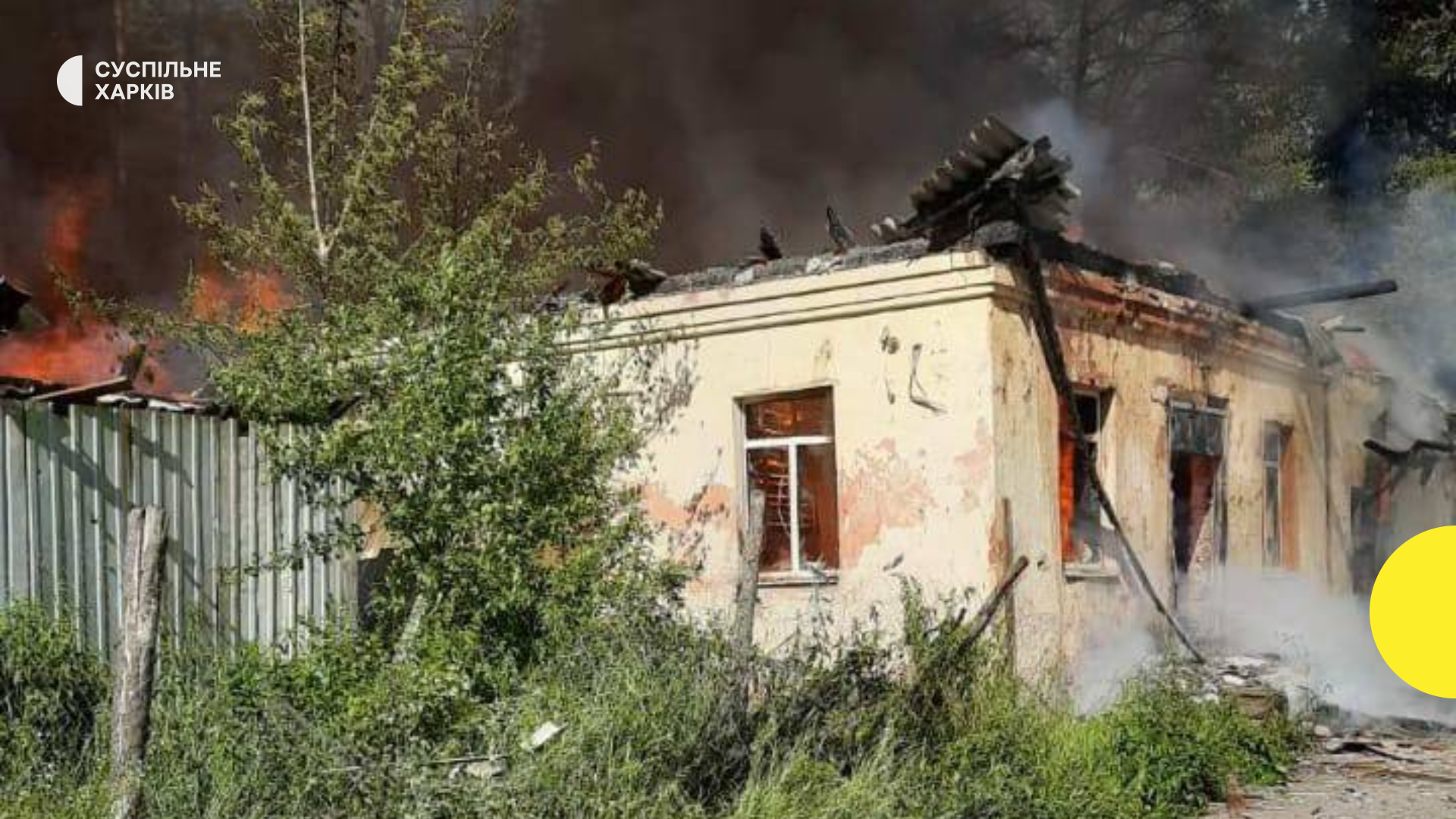 Фельдман екопарк: Росія завдала ударів по екопарку Харківської області ...